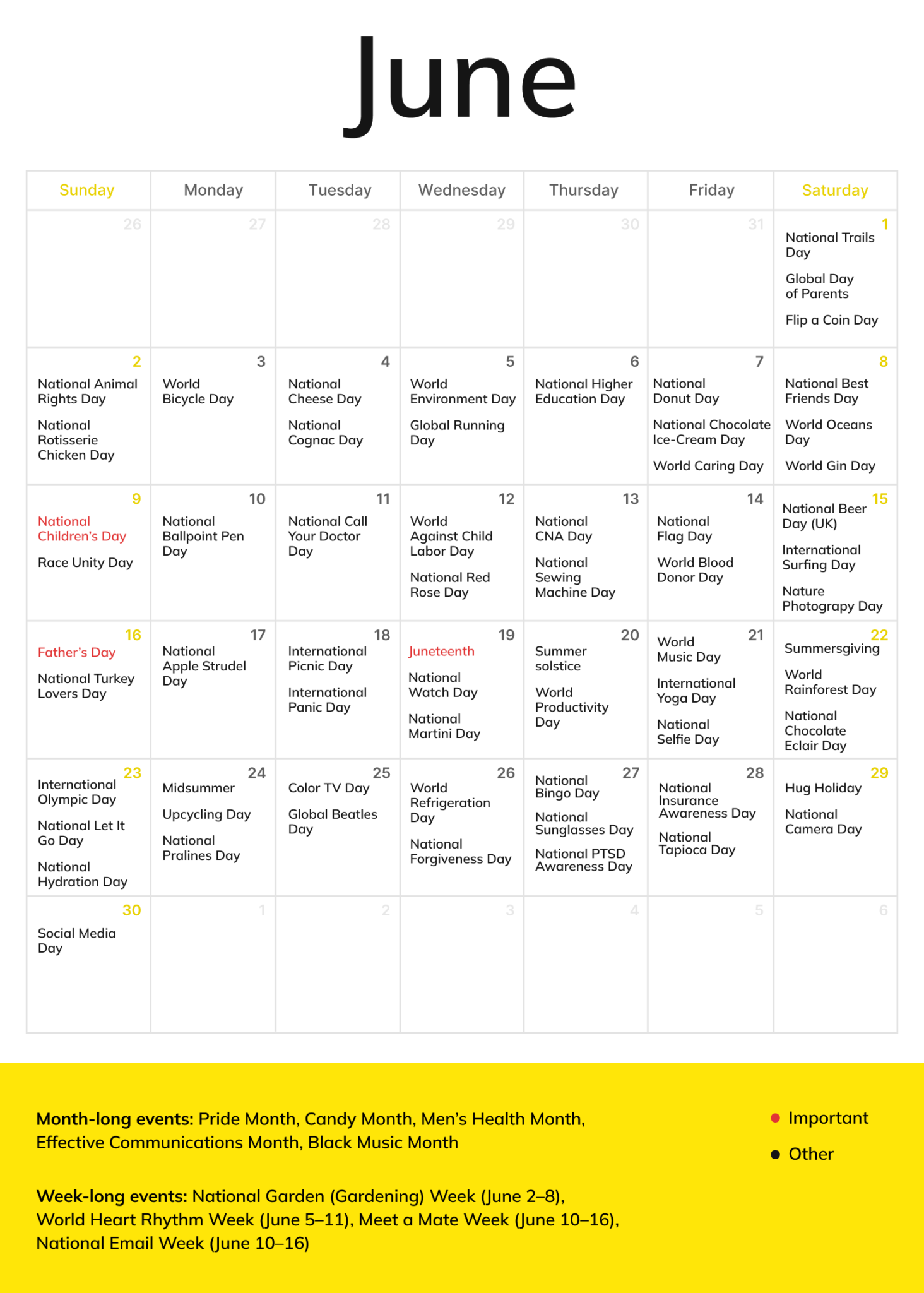 June Newsletter Ideas To Inspire Your Campaign In 2024 | Selzy Blog